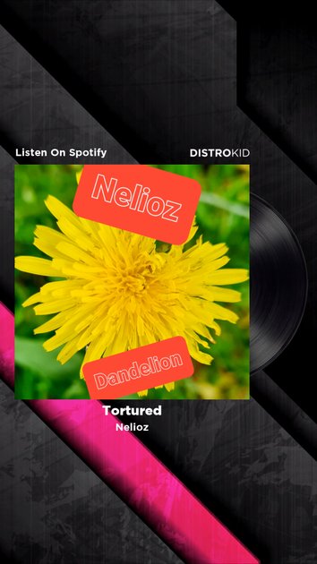 Tortured Mini Video - DistroKid Video