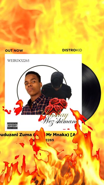 Duduzani Zuma (feat. Mr Mnaka) [Amapia Mini Video - DistroKid Video